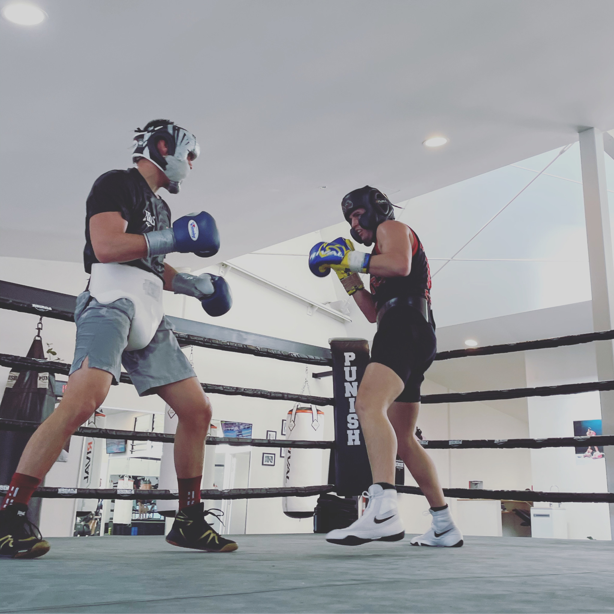 ISAAC HARDMAN IMPRESSES PAUL BRIGGS – Sanctum Forge Boxing